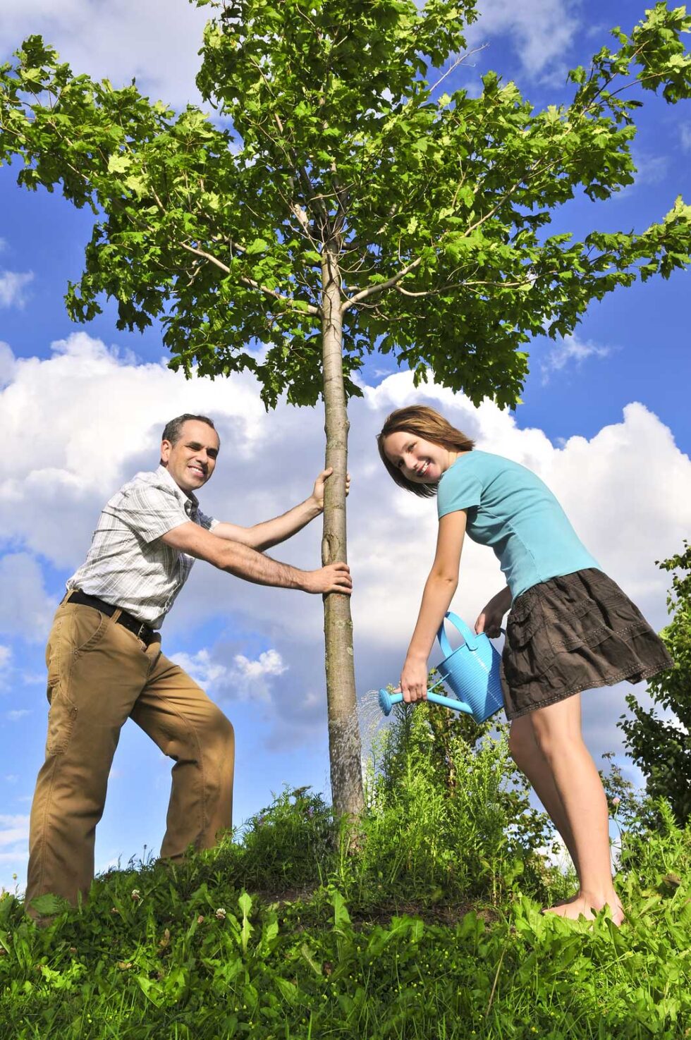 5 Fast-Growing Trees to Plant in Your Yard | Capital Arborist Tree Service